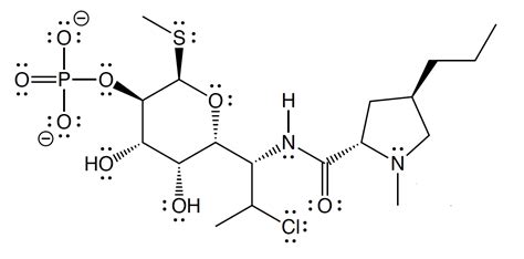 Solved List Every Functional Groups Present Which Nitrogen Chegg Com