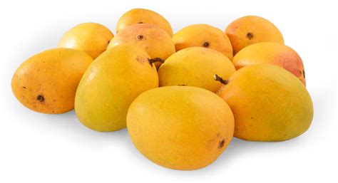 Ratnagiri Alphonso Mangoes At ₹ 600dozen Bhandup West Mumbai Id