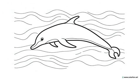 Disegno Da Colorare Di Un Delfino Acquatico Scarica O Stampa Gratuitamente