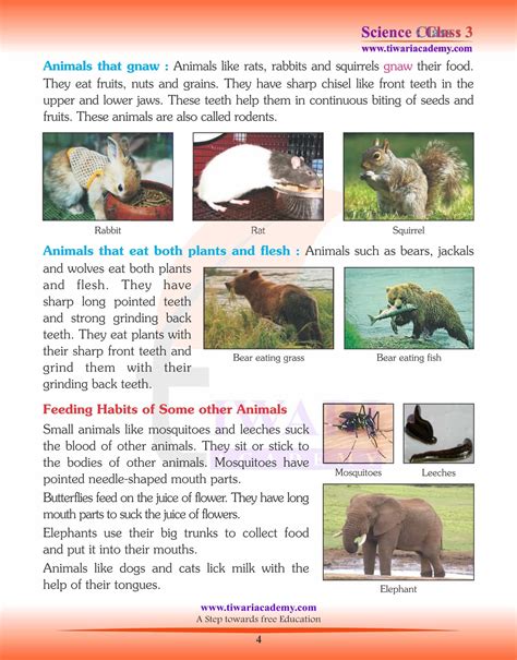 Solutions For Class 3 Science Chapter 5 Animals Food Feeding Habits