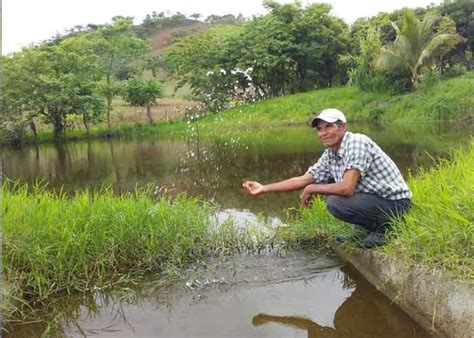 Proyecto De Cosecha De Agua Se Ejecuta En Nueva Segovia Canal