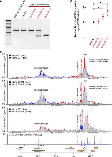 Elevated Enhancer Oncogene Contacts And Higher Oncogene Expression Levels By Recurrent Ctcf