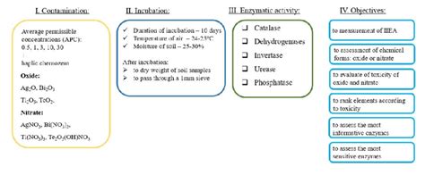 Scheme Of A Model Experiment Download Scientific Diagram