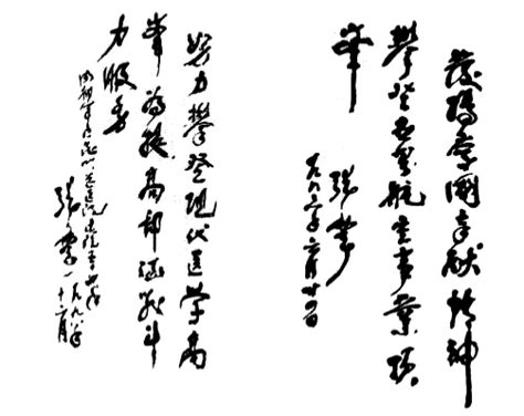 张震将军与他的客家母亲 手机新浪网