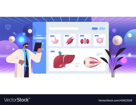 scientist examining anatomical human body internal