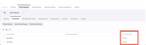 Transit Gateway Peering Over Public Network Workflow Documentation