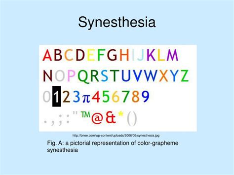 Ppt The Genetics Of Synesthesia And Absolute Pitch Powerpoint