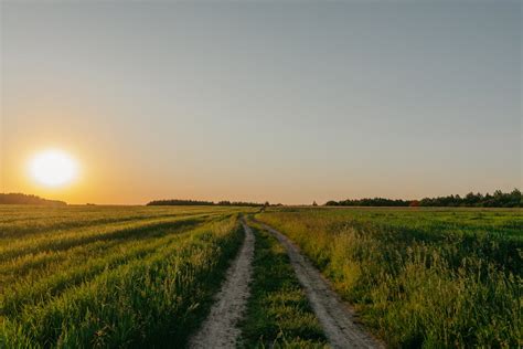 Grassy Field Sunset