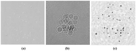 The Comparison Of The Proposed Holographic Reconstruction Algorithm Download Scientific Diagram