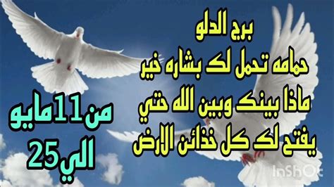 برج الدلو حمامه تحمل لك بشاره خير 💫 ماذا بينك وبين الله حتي يفتح لك