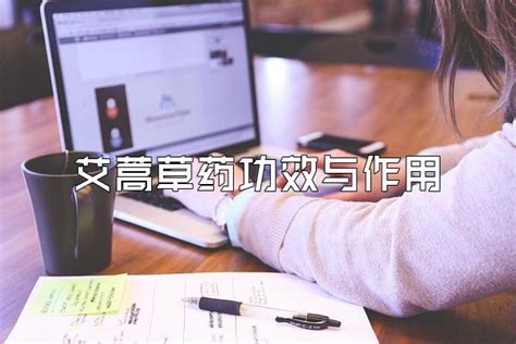 艾蒿草药功效与作用 功效与作用 中药健康网