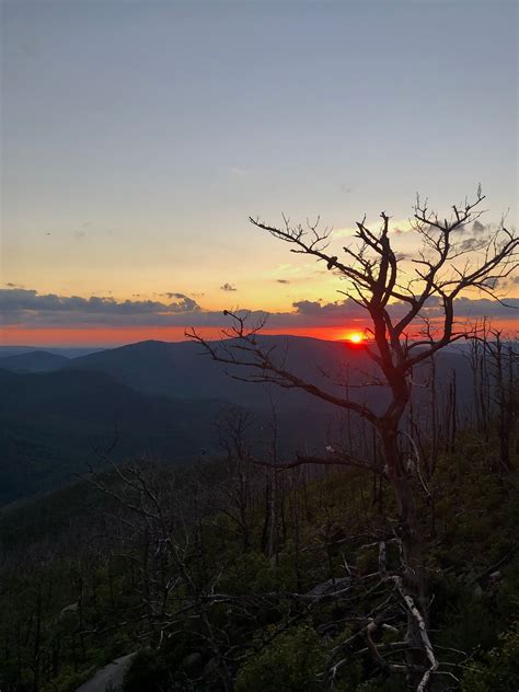 The Culvert Files Experiences Of A Wildlife Biologist