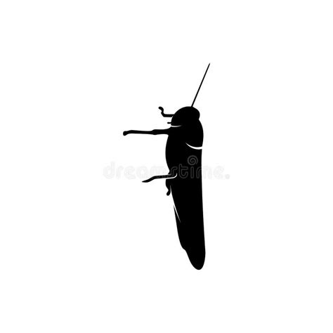 Grasshopper Logo Design Vector Illustration Grasshopper Design