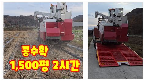 콩수확 메주콩 콩 콤바인으로 수확합니다 콩재배방법 Youtube