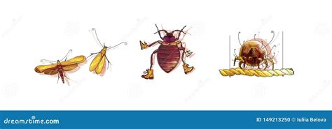 Insect Parasites Tick Saprophyte Flea In Boots Moth Wardrobe Stock