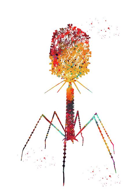 Bacteriophage Digital Art By Erzebet S Fine Art America