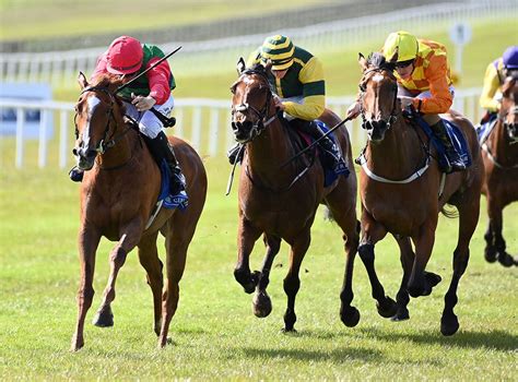 O Brien Has An Eye Catching Recruit In Goldana Irishracing