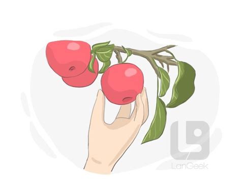 Definition And Meaning Of Plunk Picture Dictionary