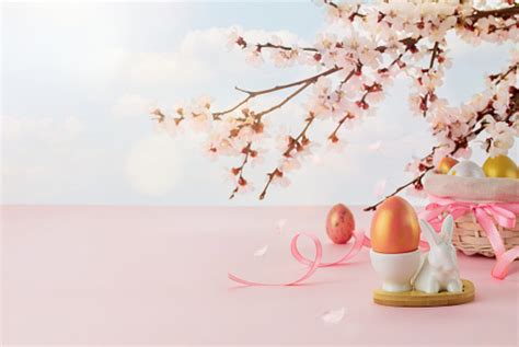 분홍색 배경에 부활절 달걀과 토끼 부활절 개념 푸른 하늘을 배경으로 벚꽃의 가지가있는 봄이나 여름 배경과 복사 공간 벚꽃에 대한