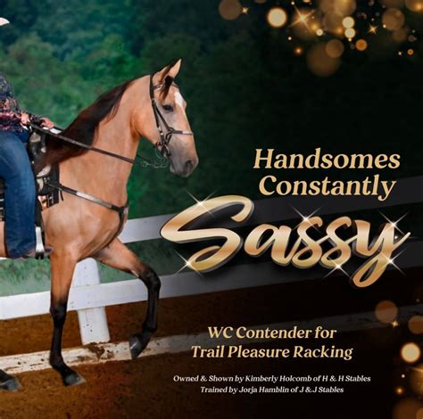 Handsomes Constantly Sassy 2022 Buckskin Mare