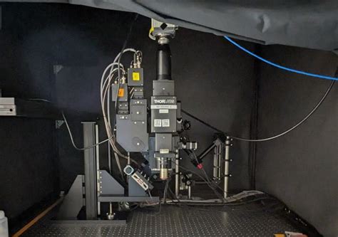 Thorlabs Multiphoton Microscope Research Facilities