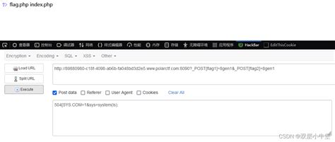 Php是世界上最好的语言 Polardandn Xxf无参数rce Querystring 特性php是世界上最好的语言polarctf Csdn博客
