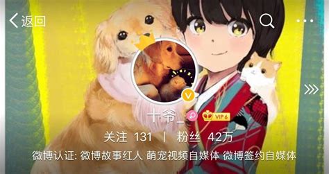 宠物博主推荐 知乎