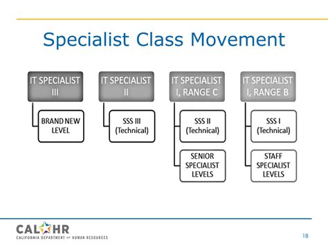 Information Technology Class Consolidation Calhr