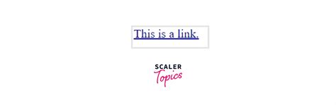 Pseudo Classes In CSS Scaler Topics