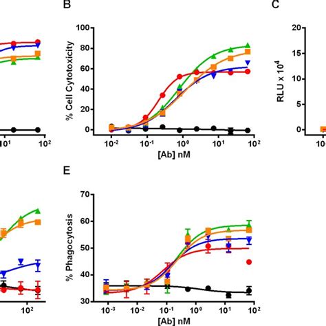 Effect Of Bivalent Vs Monovalent Antigen Binding On Adcc Activity A Download Scientific