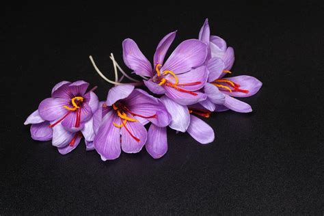 Iranian Saffron Market Is Involved In Price Fluctuations