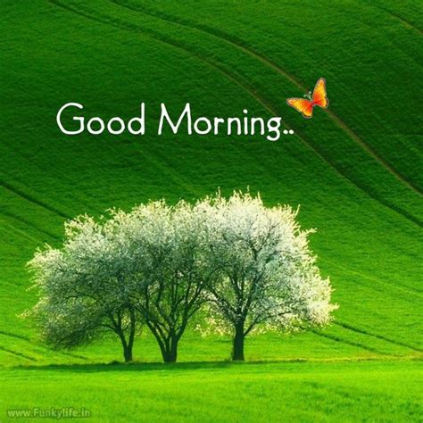 150 Good Morning Positive Quotes With Beautiful Images Dreams Quote