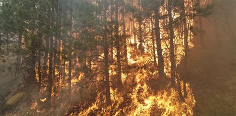 Los Incendios Caldor Y Dixie Siguen Descontrolados En California