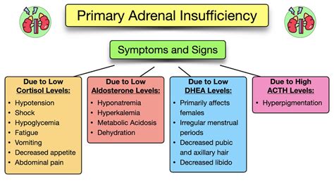 Adrenal Insufficiency Symptoms Causes Treatment Diagnosis Labs