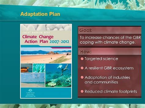 Managing Coral Reefs In The Face Of Climate