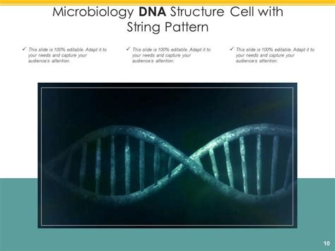 DNA Research Laboratory Parallel Isolation Operating Biotechnology Structure Presentation
