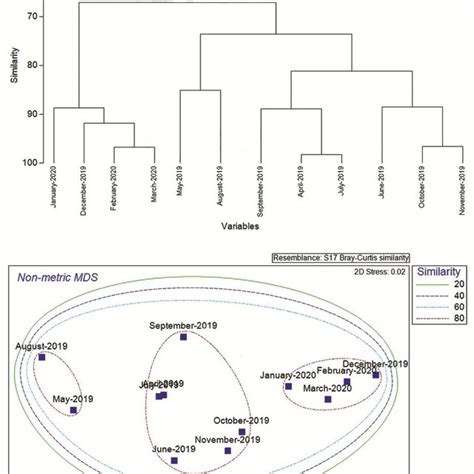 nmds plot showing grouping of months based on species abundance with