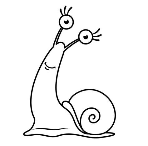 Siput Yang Cantik