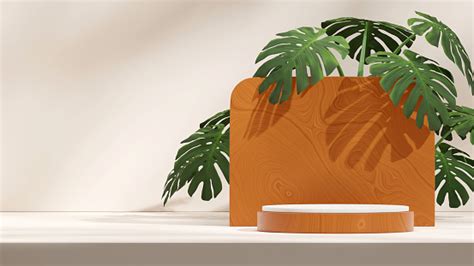 풍경 레이아웃 흰색 벽 및 몬스테라 3d 이미지 렌더링 빈 모형 흰색과 나무 질감 연단 0명에 대한 스톡 사진 및 기타 이미지 Istock