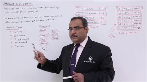 DBMS Attribute And Domain YouTube
