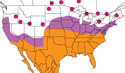 Common Buckeye Butterfly Habitat