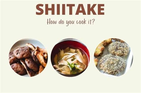 A Quick Guide On How To Cook Shiitake Mushrooms Chef Ja Cooks