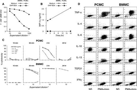 Peritoneal Cell Derived Mast Cells An In Vitro Model Of Mature Serosal