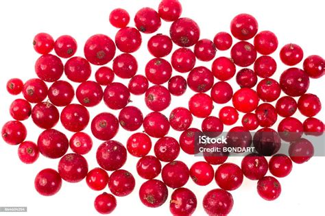 레드 건포도 크랜베리 냉동입니다 매크로 냉동 유기농 레드 건포도 크랜베리 달콤한 아름 다운 언된 레드 건포도 크랜베리에서 추상 배경 흰색 배경에 고립의 소수 0명에 대한
