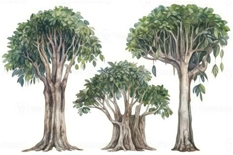 Banyan Tree Forest Collection HandDrawn Trees Pack Generative AI