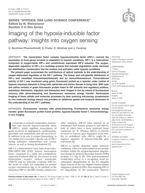 Pdf Imaging Of The Hypoxia Inducible Factor Pathway Insights Into