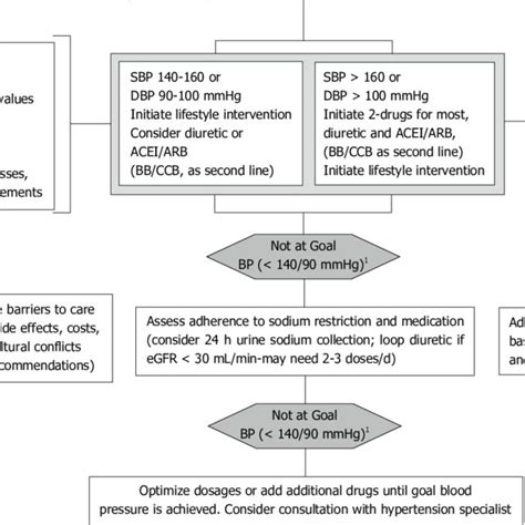 Pdf African Americans Hypertension And The Renin Angiotensin System