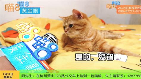【喵8喵8黄金眼】熊孩子偷用父亲手机消费，居然是为了给他过生日？ Youtube