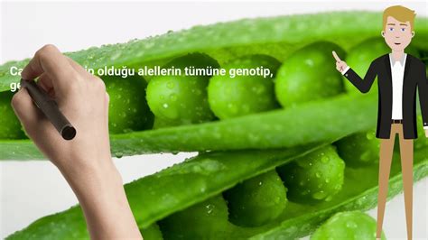 kalitim youtube