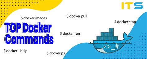 Docker Commands Any Docker Expert MUST KNOW